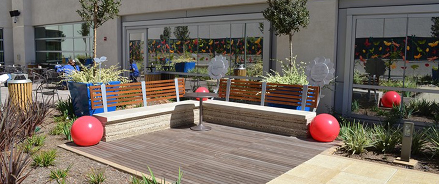 Healing Environments: Biophilic Design in Hospitals